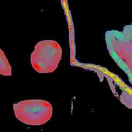 Alex Cima: Art Gallery